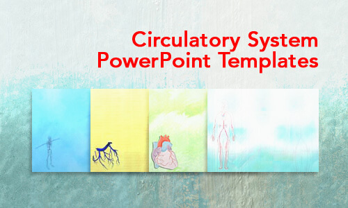 Circulatory System Medicine PowerPoint Templates