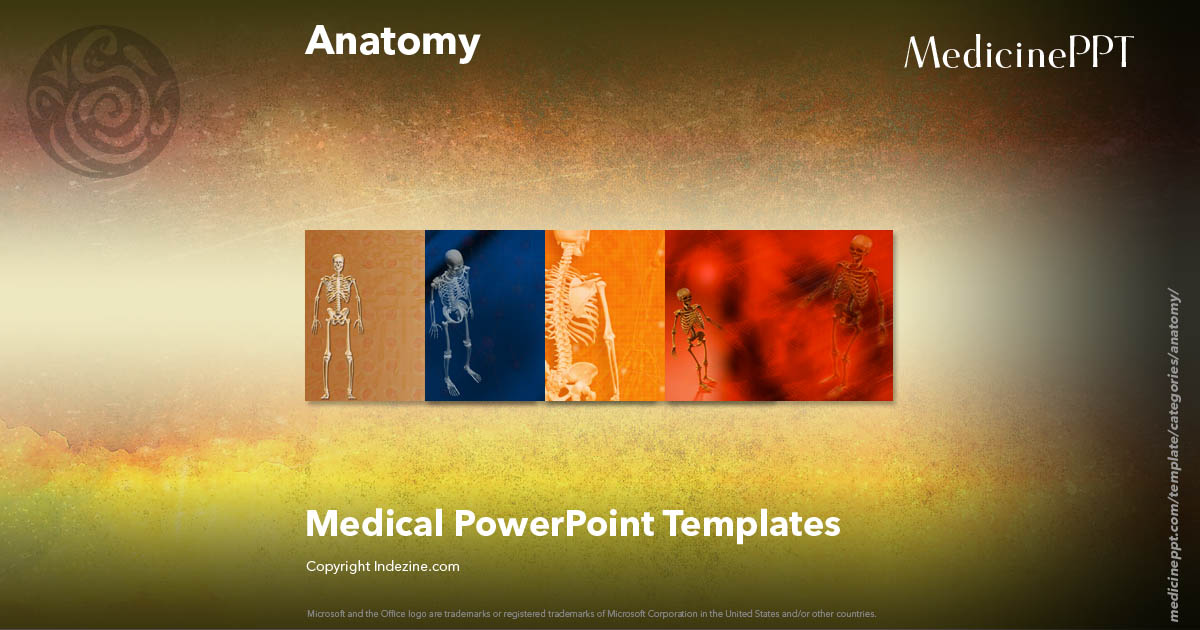 Anatomy Powerpoint Templates