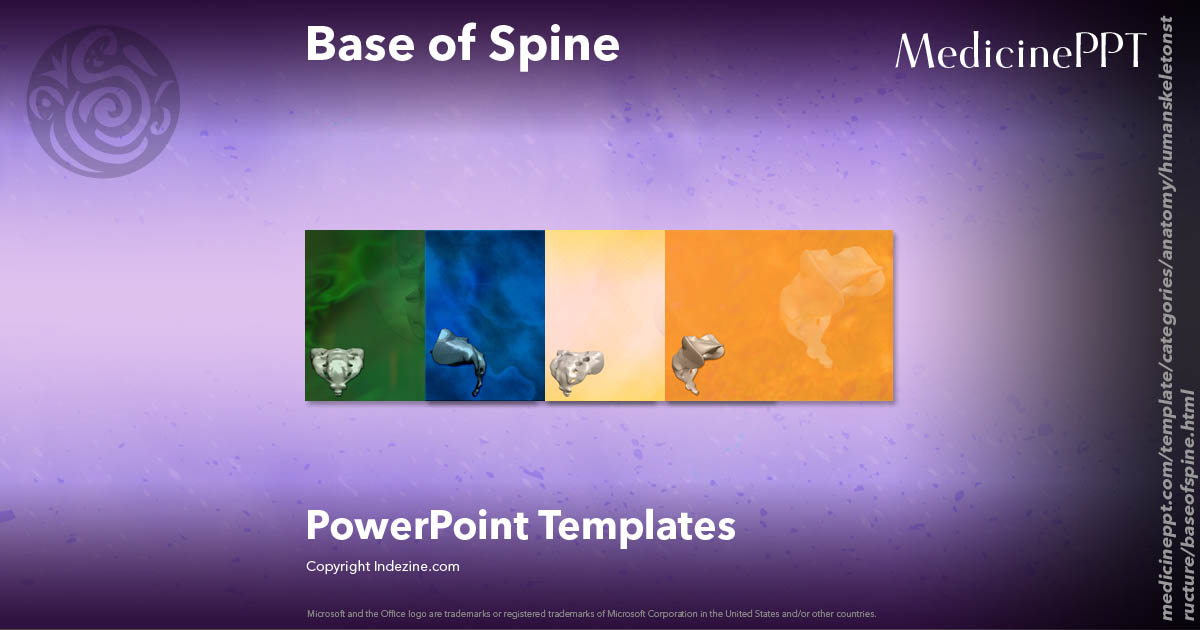 Base of Spine - Medicine PowerPoint Templates