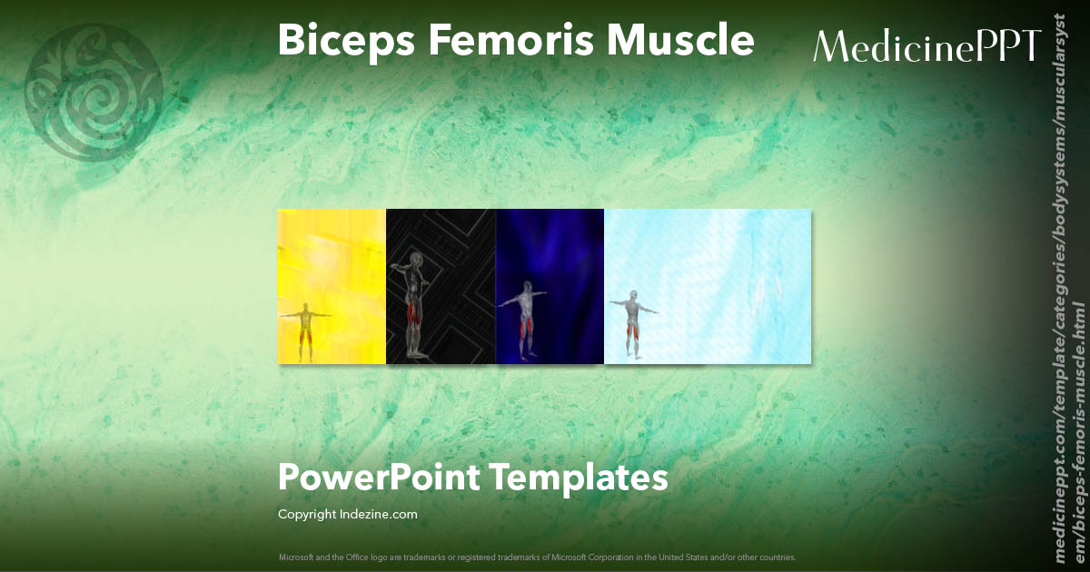Biceps Femoris Muscle - Medicine PowerPoint Templates