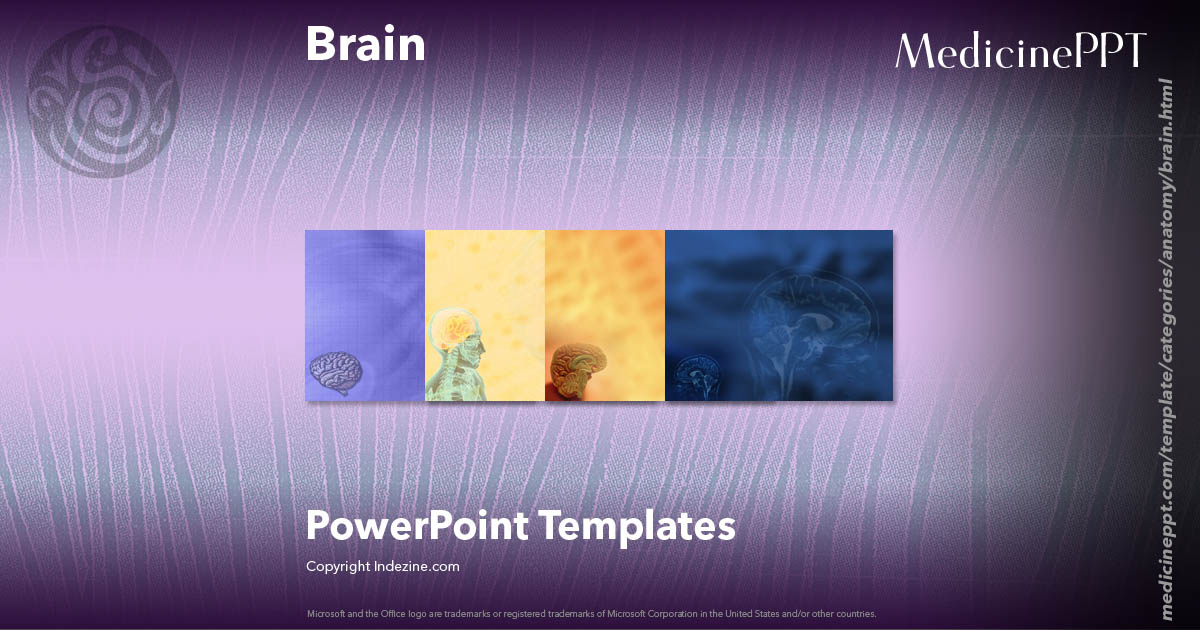 Brain - Medicine PowerPoint Templates