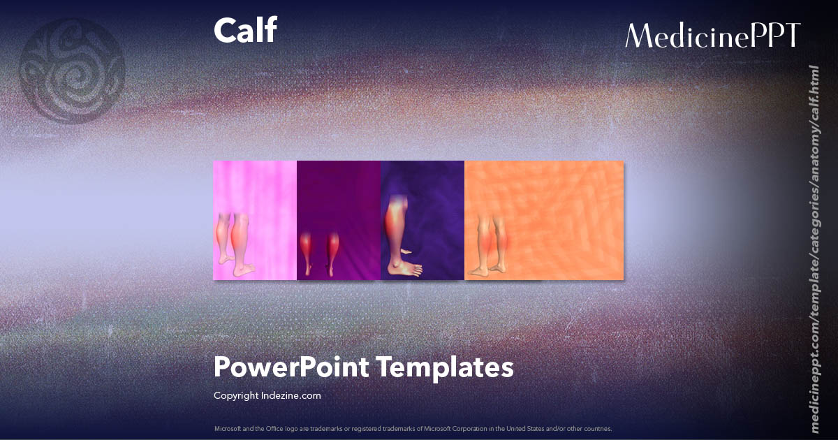 Calf - Medicine PowerPoint Templates