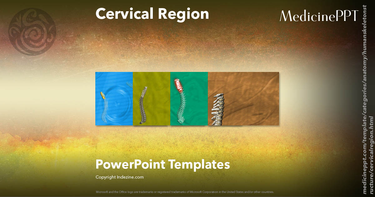 Cervical Region - Medicine PowerPoint Templates