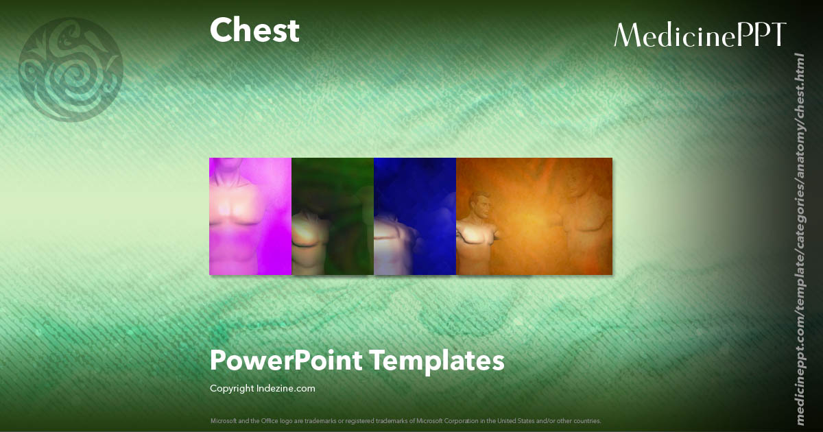Chest - Medicine PowerPoint Templates