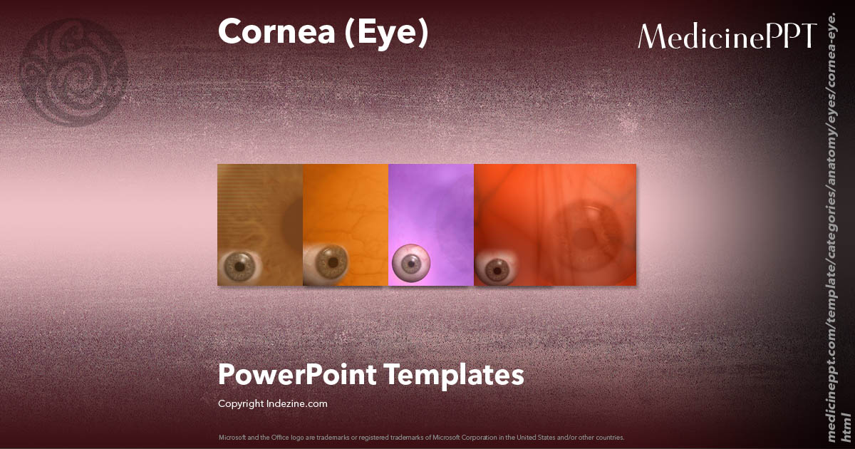 Cornea (Eye) - Medicine PowerPoint Templates