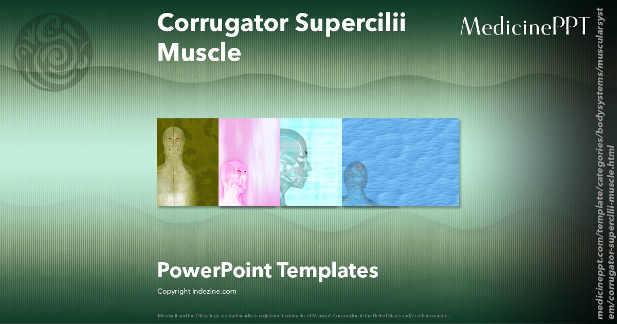 Corrugator Supercilii Muscle - Medicine PowerPoint Templates