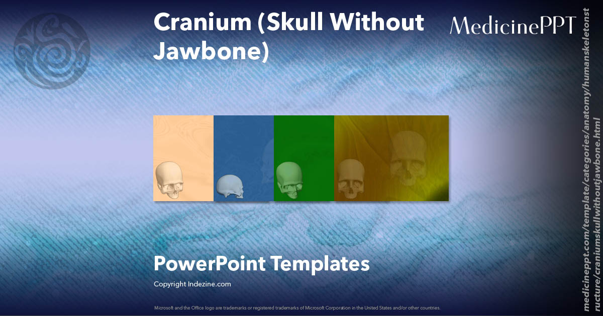 Cranium (Skull Without Jawbone) - Medicine PowerPoint Templates