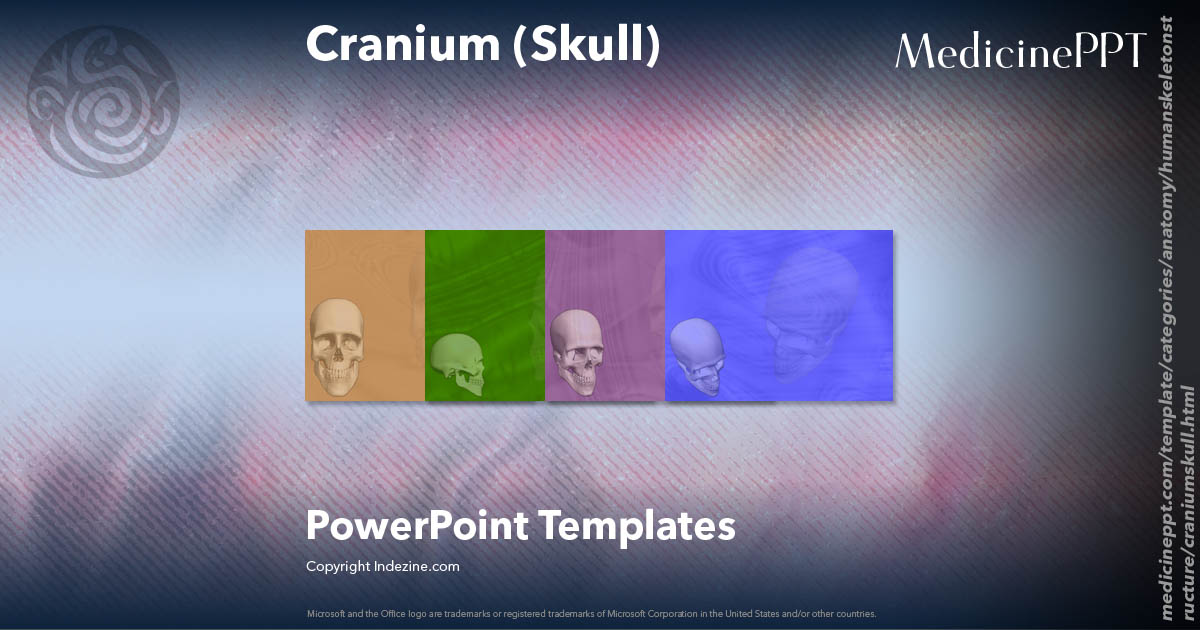 Cranium (Skull) - Medicine PowerPoint Templates