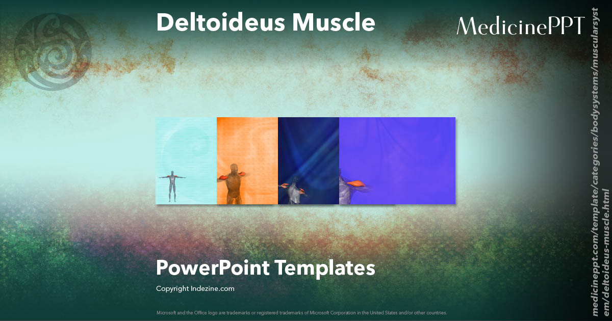 Deltoideus Muscle - Medicine PowerPoint Templates