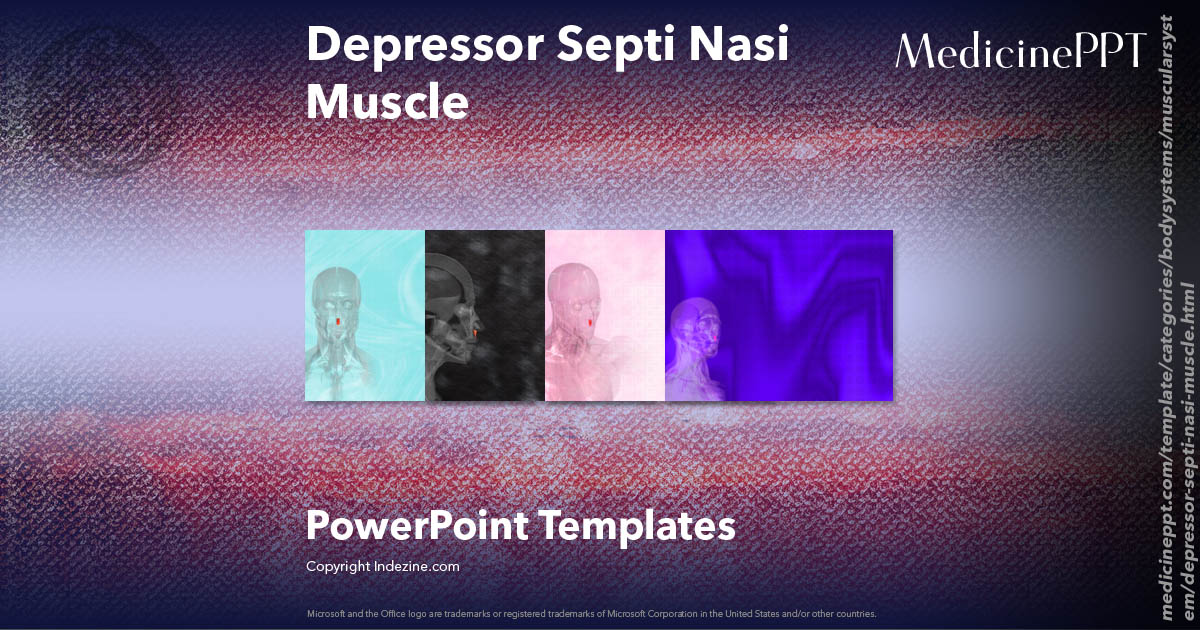 Depressor Septi Nasi Muscle - Medicine PowerPoint Templates