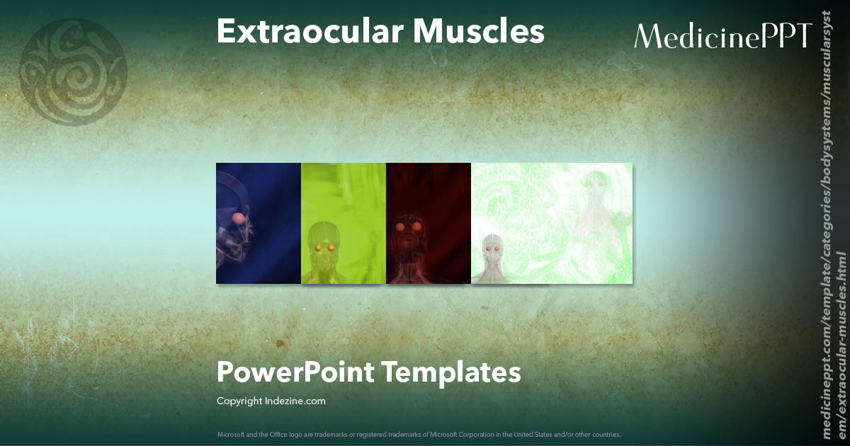 Extraocular Muscles - Medicine PowerPoint Templates