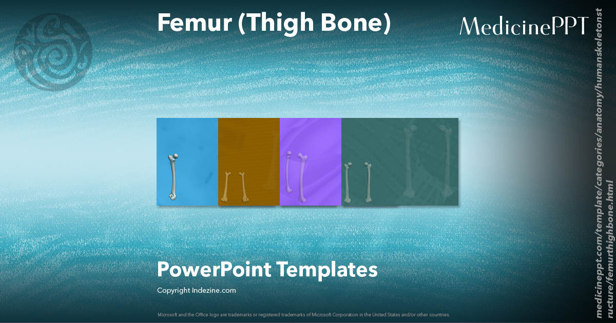 Femur (Thigh Bone) - Medicine PowerPoint Templates