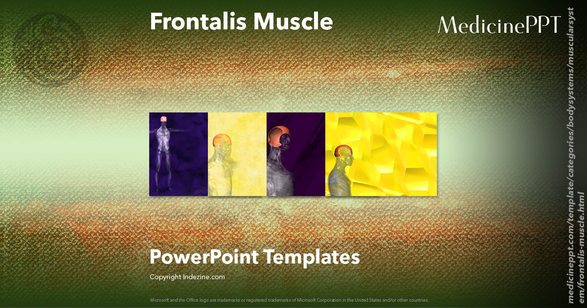Frontalis Muscle - Medicine PowerPoint Templates