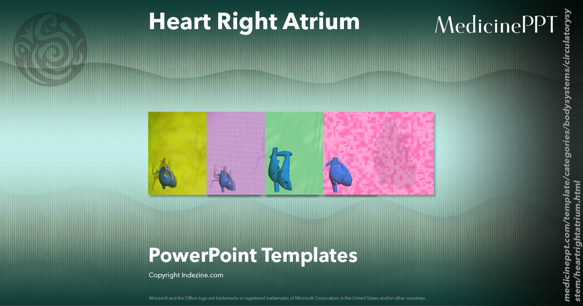 Heart Right Atrium - Medicine PowerPoint Templates