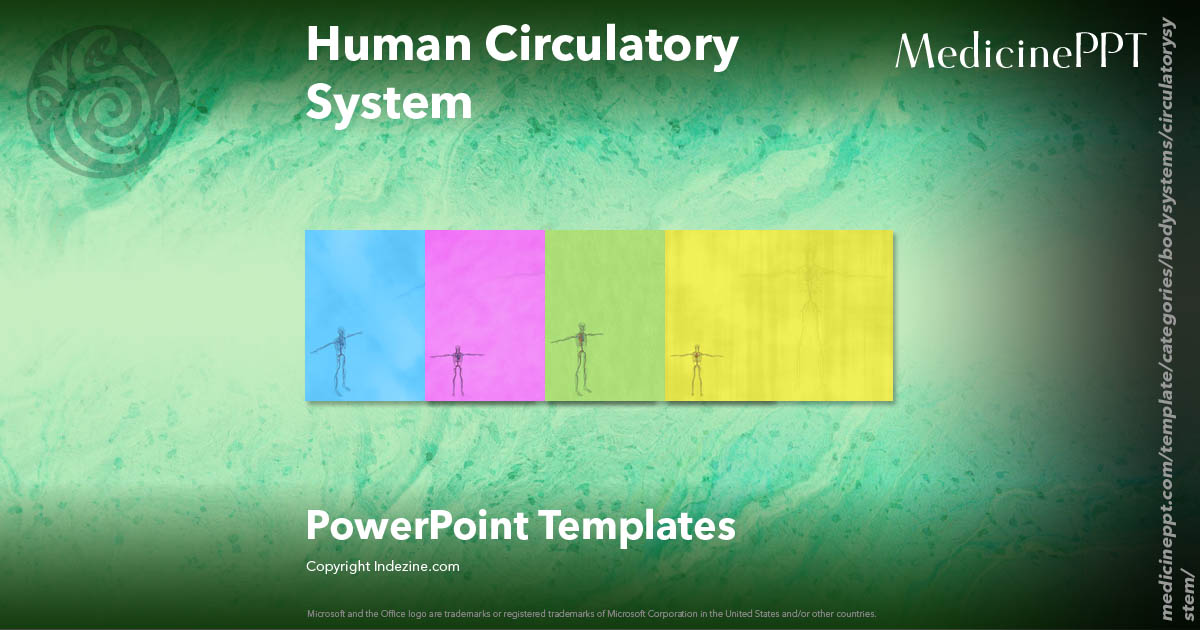 Human Circulatory System - Medicine PowerPoint Templates