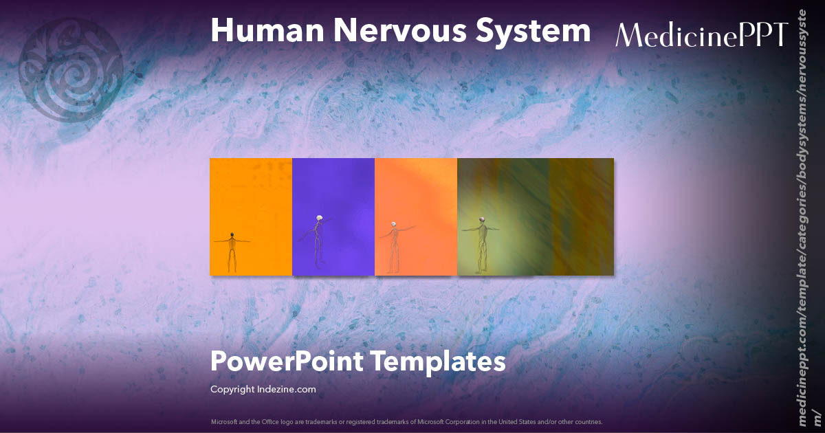 Human Nervous System - Medicine PowerPoint Templates