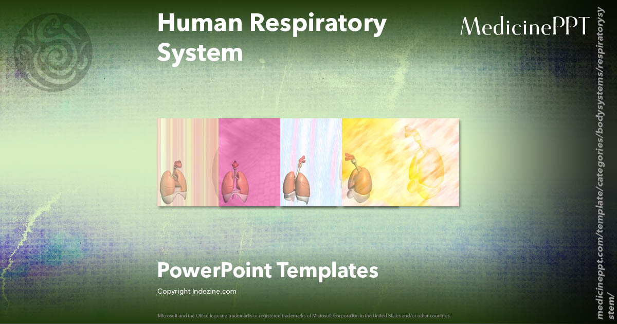 Respiratory System Powerpoint Template at Cooper Nickle blog