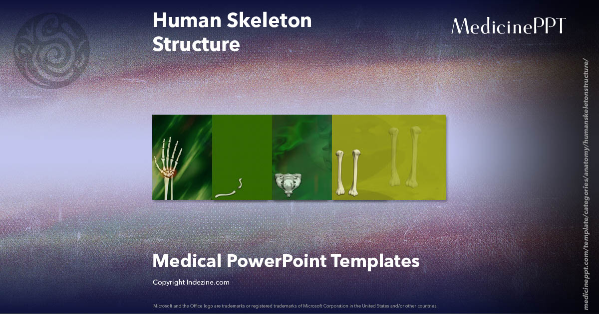 Medicine PowerPoint: Human Skeleton Structure Medicine PowerPoint Templates