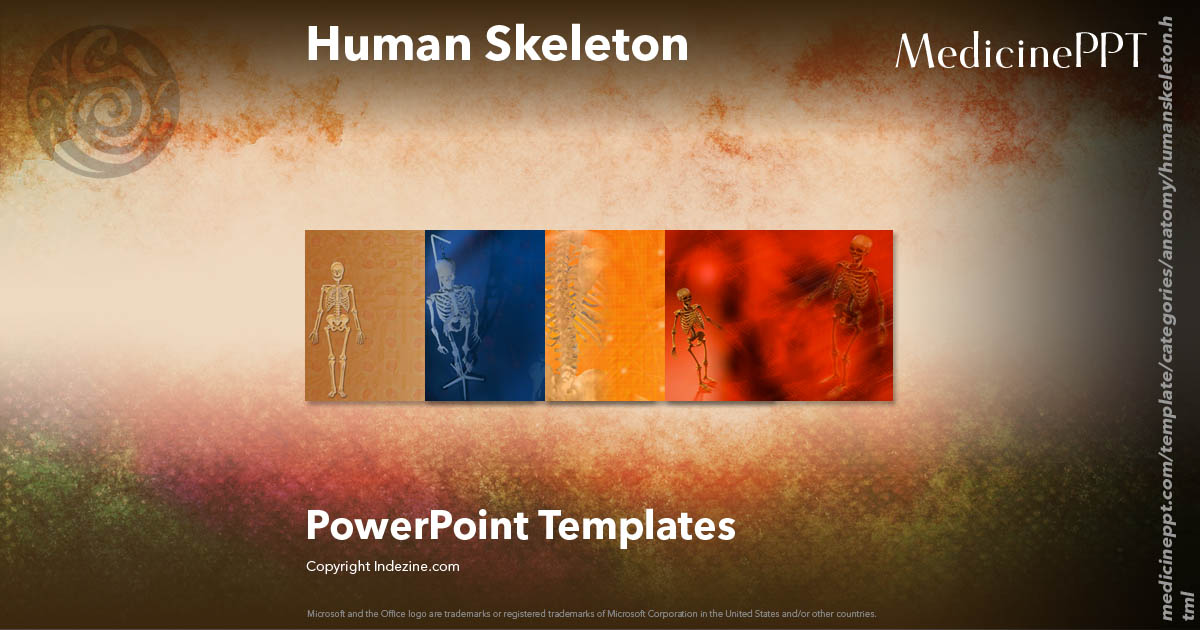 Human Skeleton - Medicine PowerPoint Templates