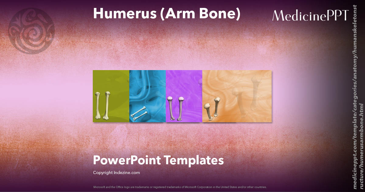 Humerus (Arm Bone) - Medicine PowerPoint Templates