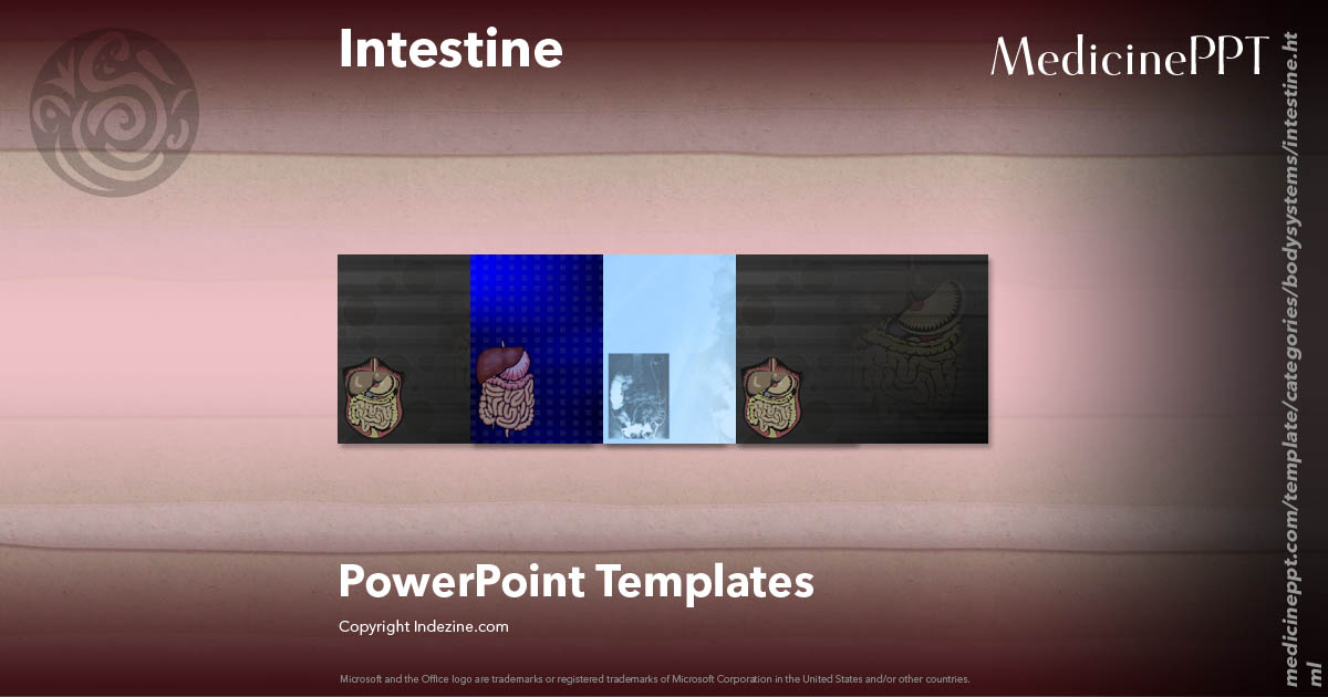 Intestine - Medicine PowerPoint Templates