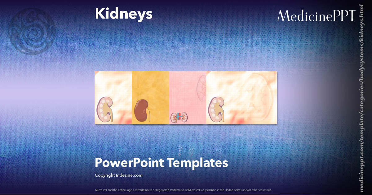 Kidneys - Medicine PowerPoint Templates