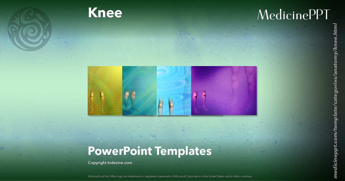 Knee - Medicine PowerPoint Templates