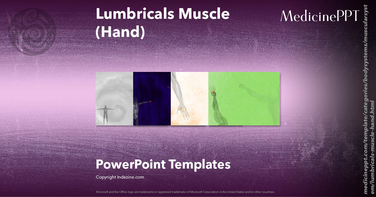 Lumbricals Muscle (Hand) - Medicine PowerPoint Templates