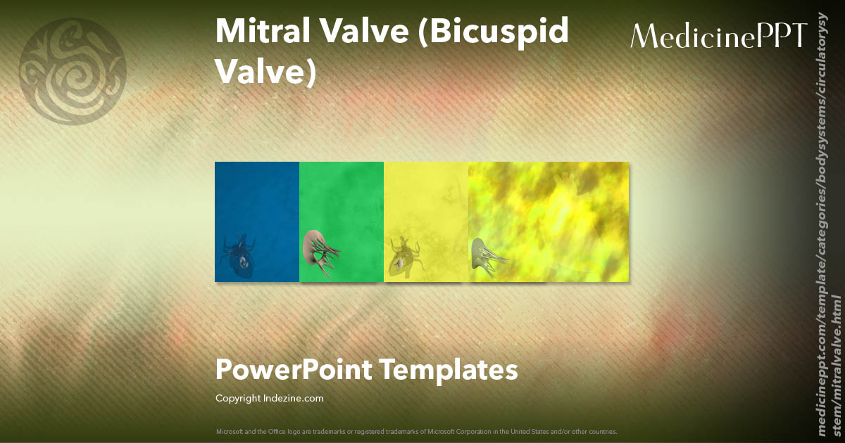 Mitral Valve (Bicuspid Valve) - Medicine PowerPoint Templates