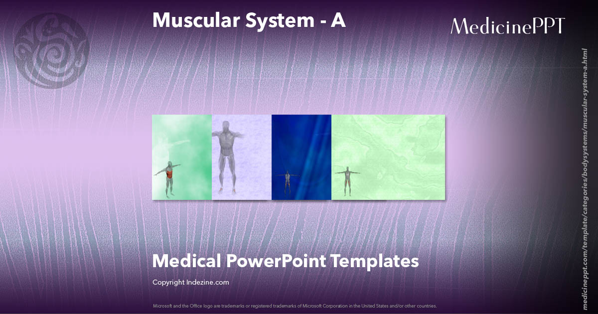 0614 Smooth Muscle Medical Images For Powerpoint