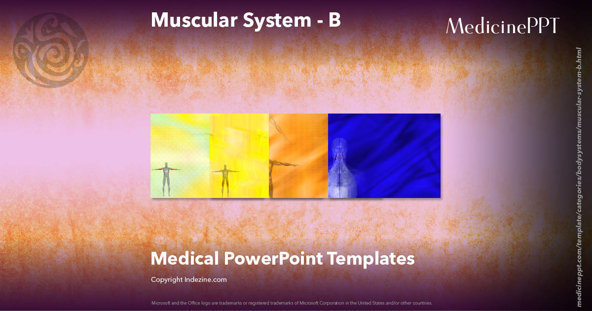 Medicine PowerPoint: Muscular System - B Medicine PowerPoint Templates
