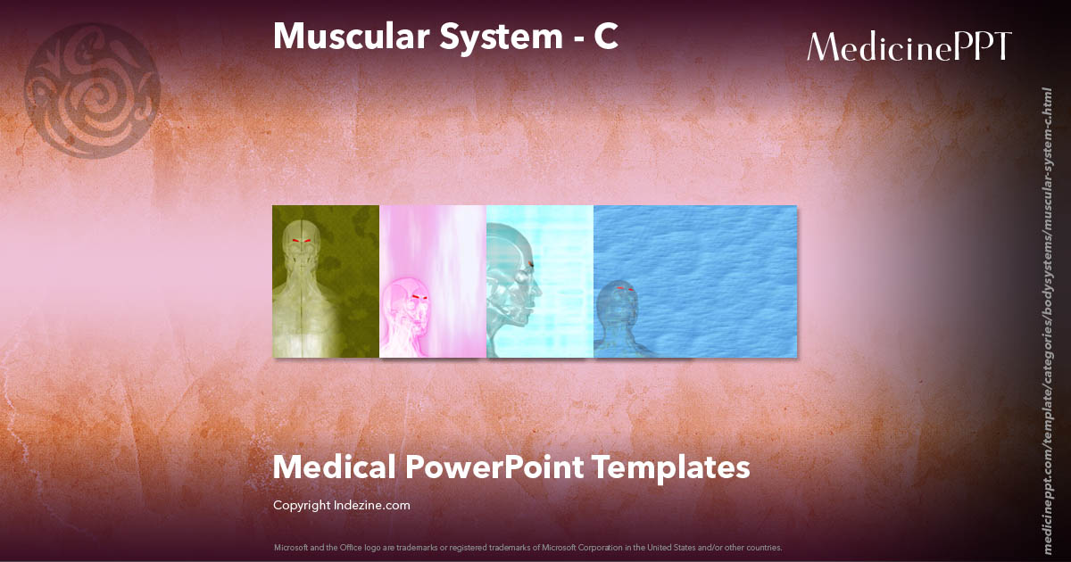 Medicine PowerPoint: Muscular System - C Medicine PowerPoint Templates