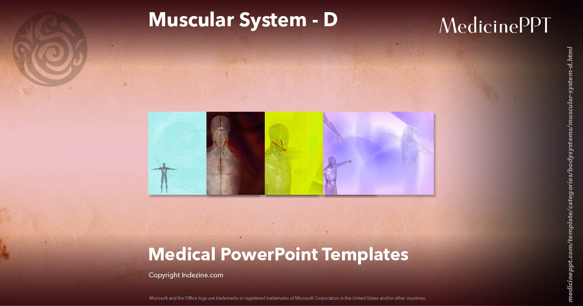 Medicine PowerPoint: Muscular System - D Medicine PowerPoint Templates