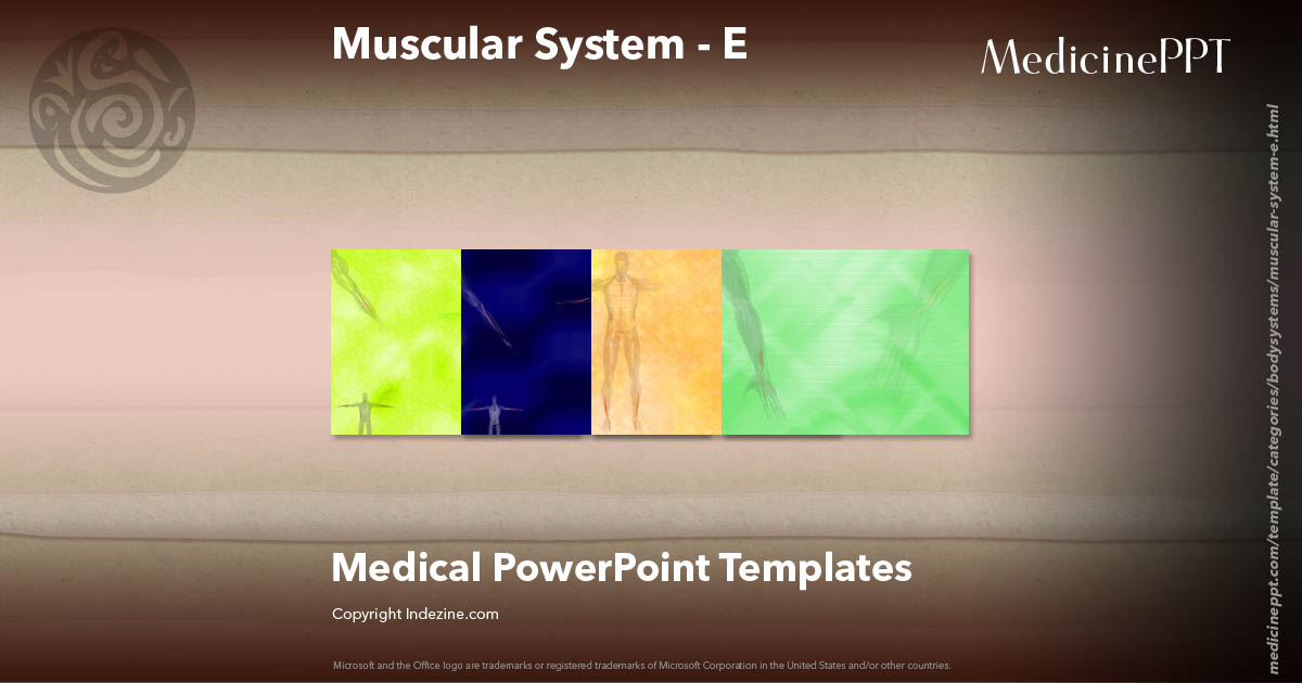 Medicine PowerPoint: Muscular System - E Medicine PowerPoint Templates