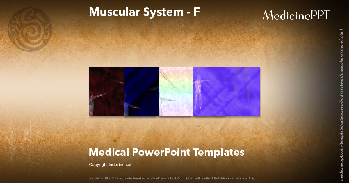 Medicine PowerPoint: Muscular System - F Medicine PowerPoint Templates