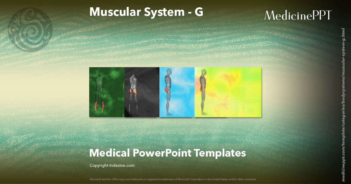 Medicine PowerPoint: Muscular System - G Medicine PowerPoint Templates