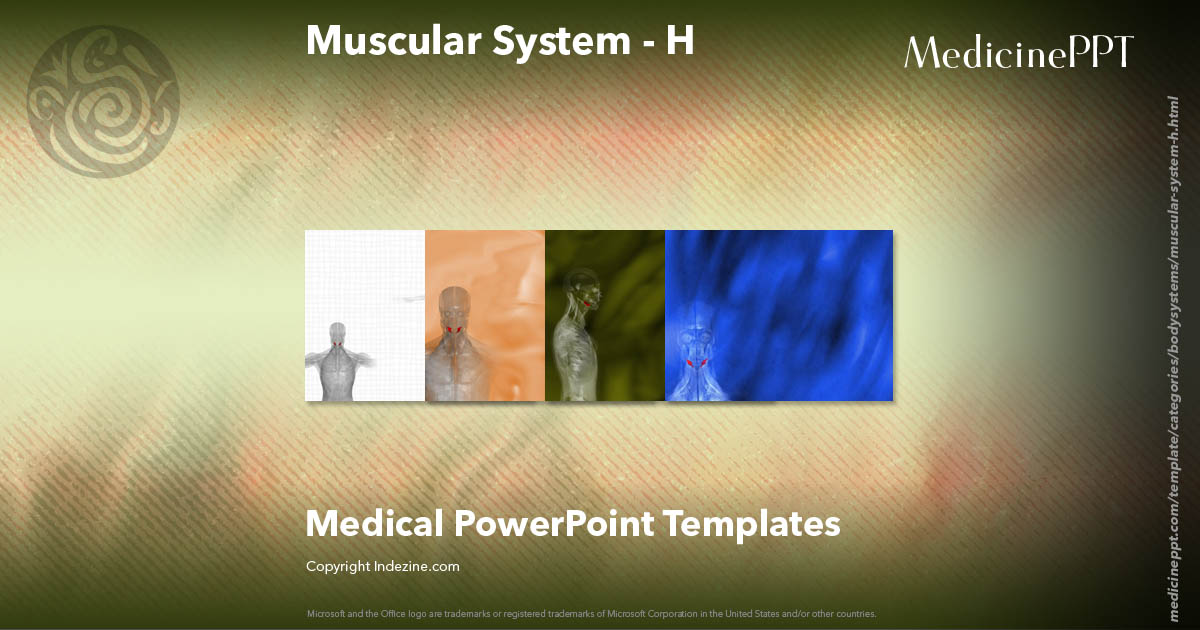 Medicine PowerPoint: Muscular System - H Medicine PowerPoint Templates
