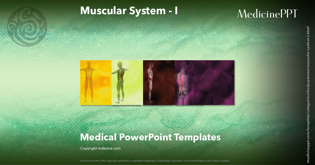 Medicine PowerPoint: Muscular System - I Medicine PowerPoint Templates