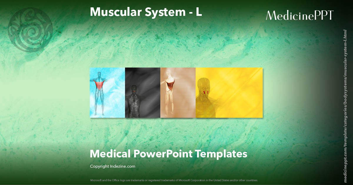Medicine PowerPoint: Muscular System - L Medicine PowerPoint Templates