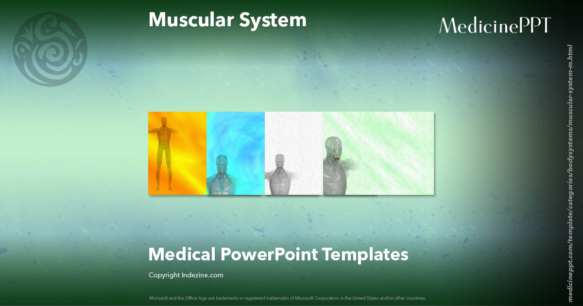 Medicine PowerPoint: Muscular System - M Medicine PowerPoint Templates
