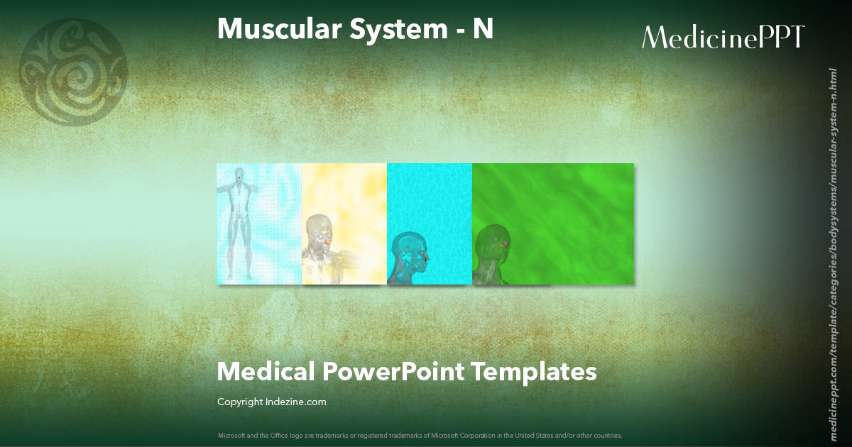 Medicine PowerPoint: Muscular System - N Medicine PowerPoint Templates