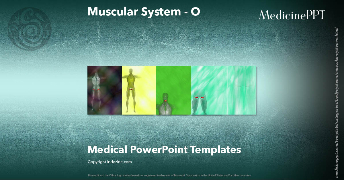 Medicine PowerPoint: Muscular System - O Medicine PowerPoint Templates