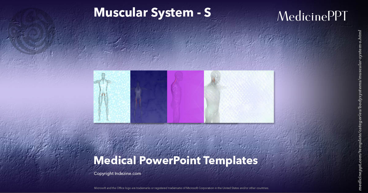 Medicine PowerPoint: Muscular System - S Medicine PowerPoint Templates