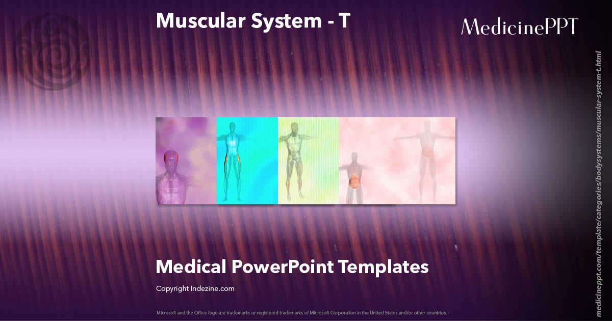 Medicine PowerPoint: Muscular System - T Medicine PowerPoint Templates