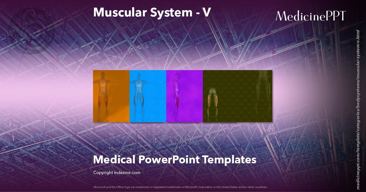 Medicine PowerPoint: Muscular System - V Medicine PowerPoint Templates