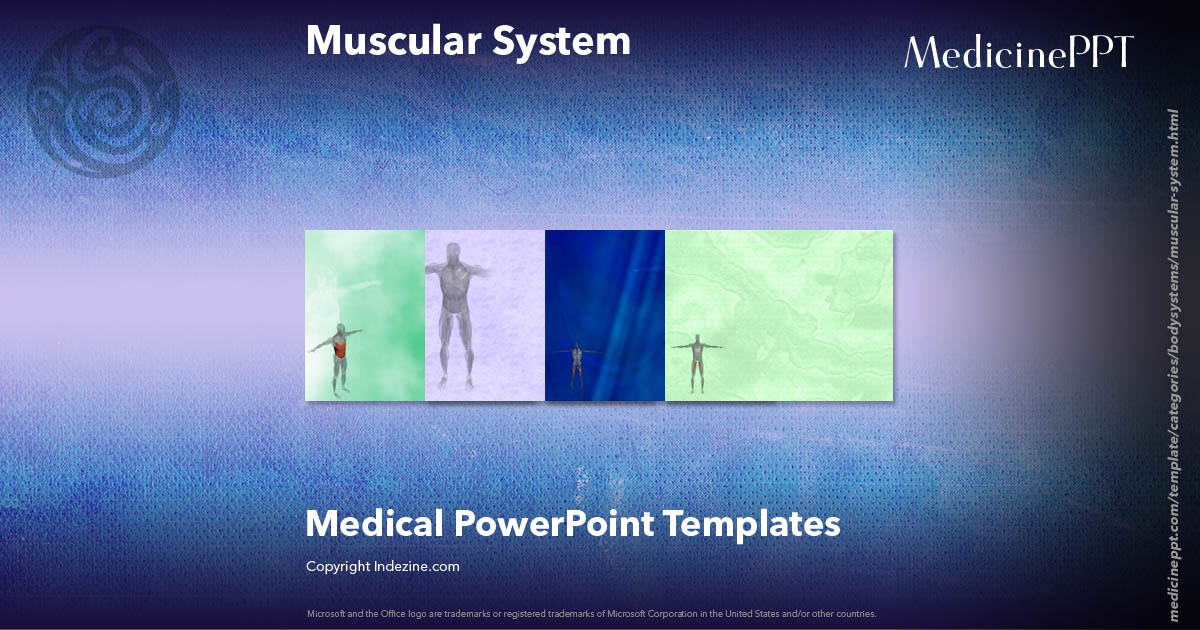 Medicine PowerPoint: Muscular System Medicine PowerPoint Templates