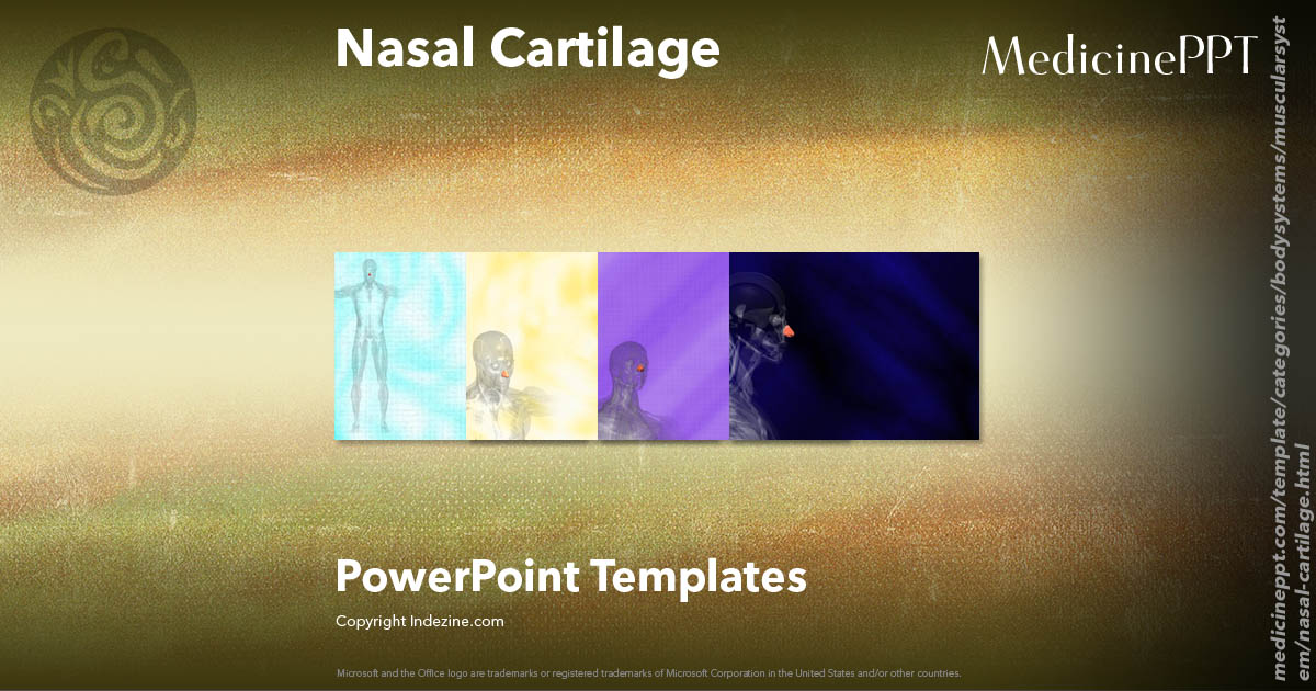 Nasal Cartilage - Medicine PowerPoint Templates