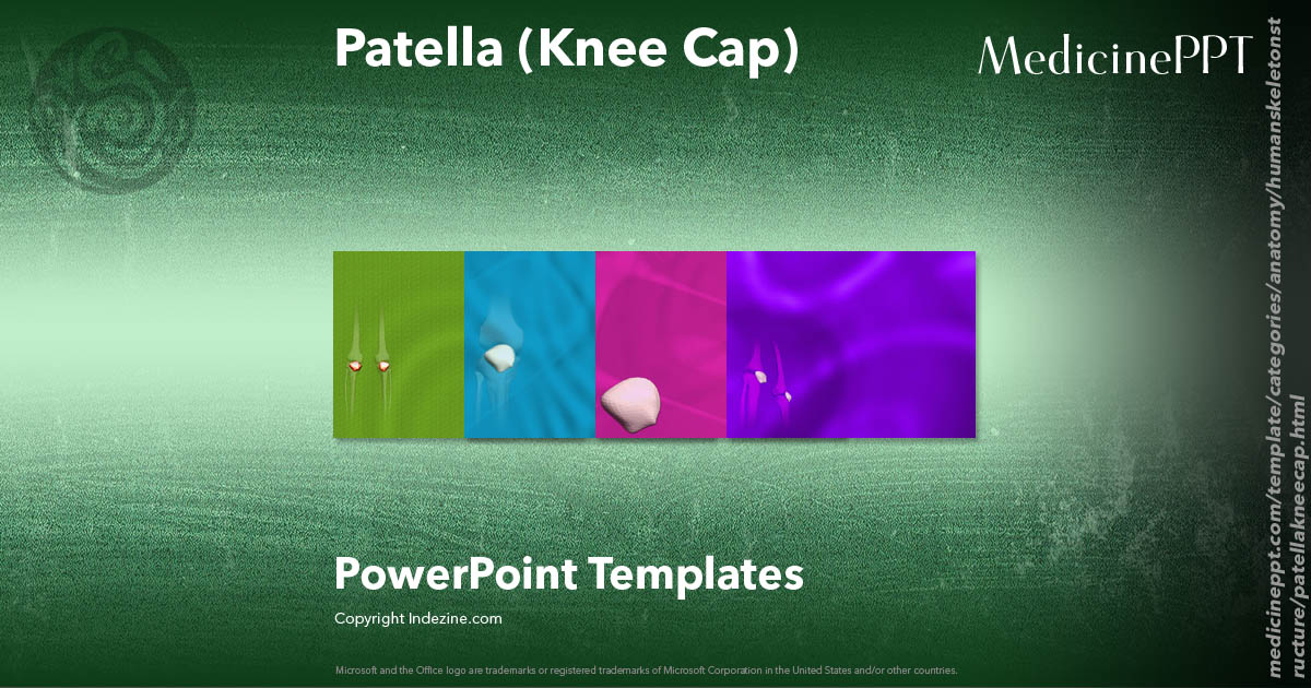 Patella (Knee Cap) - Medicine PowerPoint Templates