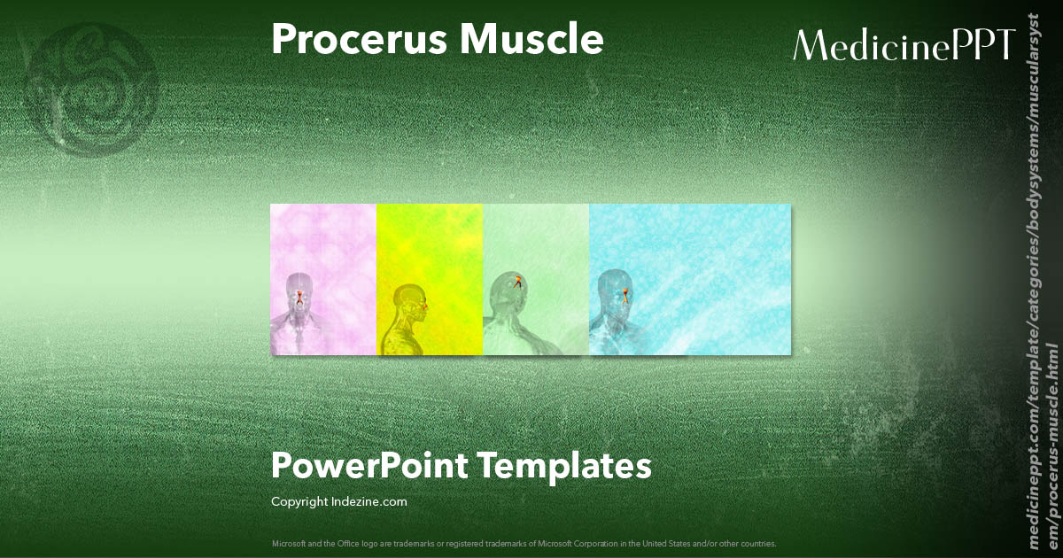 Procerus Muscle - Medicine PowerPoint Templates
