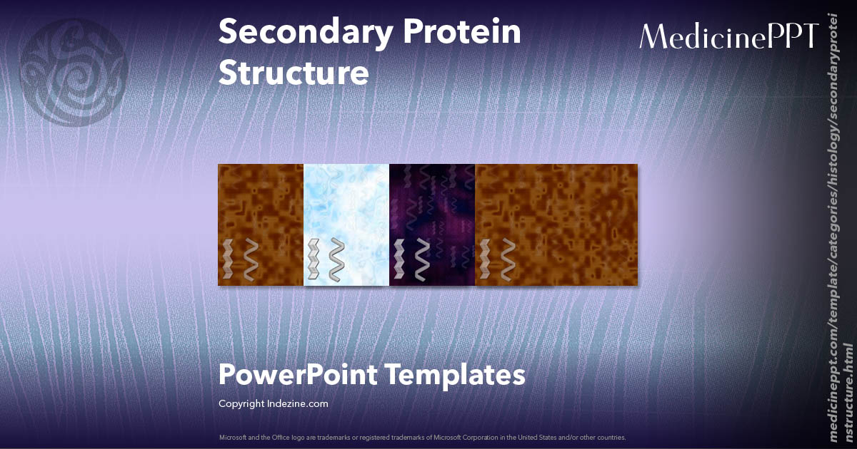 Secondary Protein Structure - Medicine PowerPoint Templates